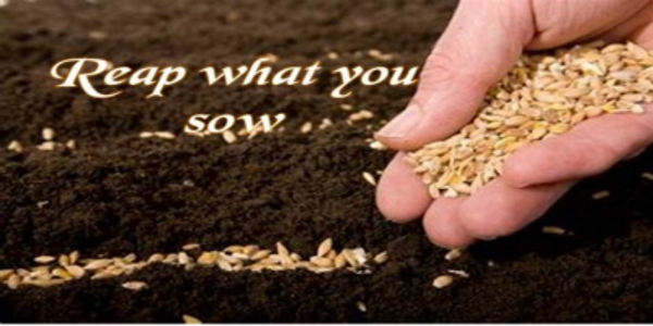 A Deeper Look into “The Parable of the Sower” - IBG - Inspired by God